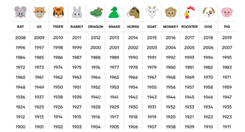 How to Celebrate Chinese New Year in Your Classroom - Learn With Socrates